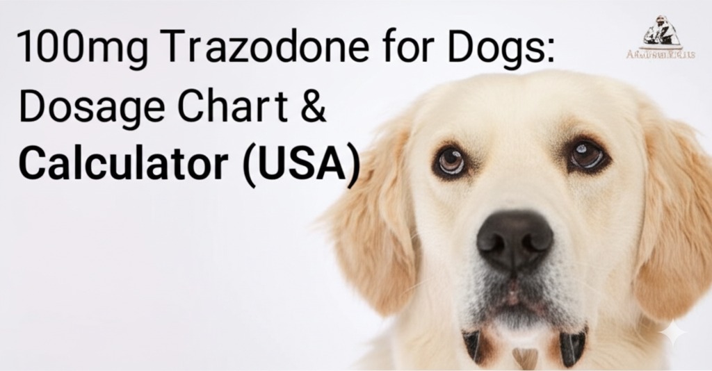 100mg Trazodone for Dogs: Dosage Chart & Calculator (USA) - TrazodoneSUC